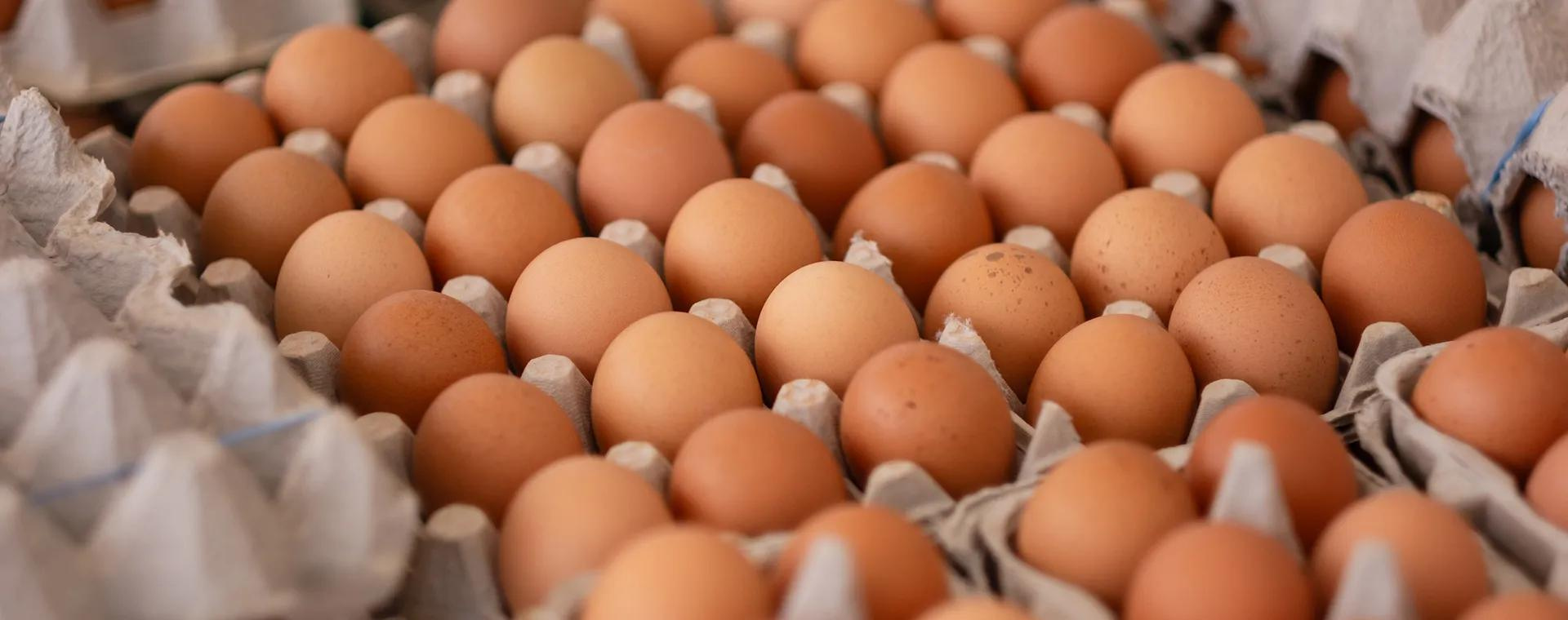 Rosemary Farm | How to Tell if Your Eggs Are Fresh